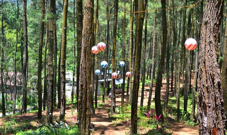 5 Tempat Wisata Hits di Purworejo – Trippers.id